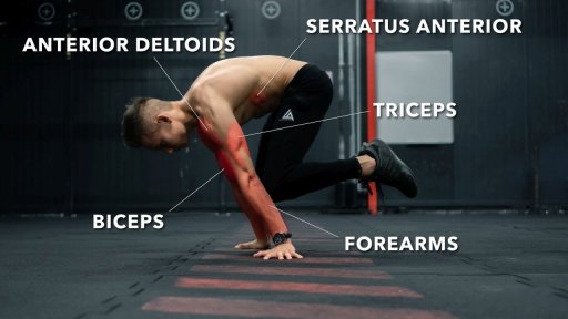 New Beginner Program - Calisthenics workout - Caliathletics.com