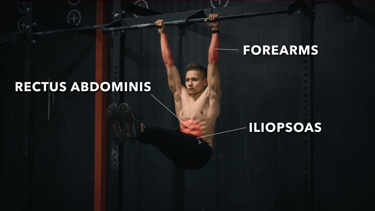 New Beginner Program - Calisthenics workout - Caliathletics.com