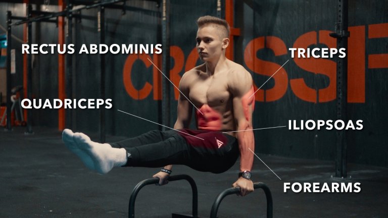 New Intermediate Program - [#154421] - Calisthenics workout ...
